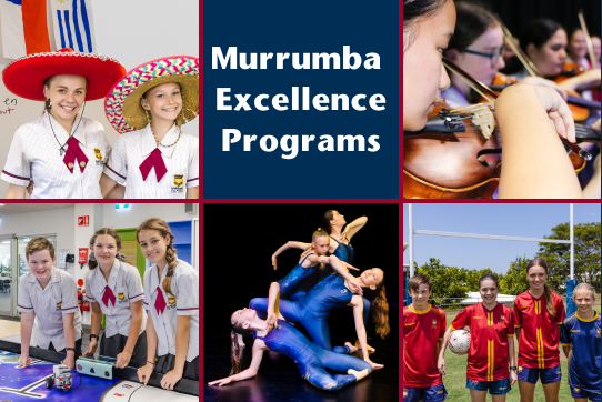 Programs of Excellence